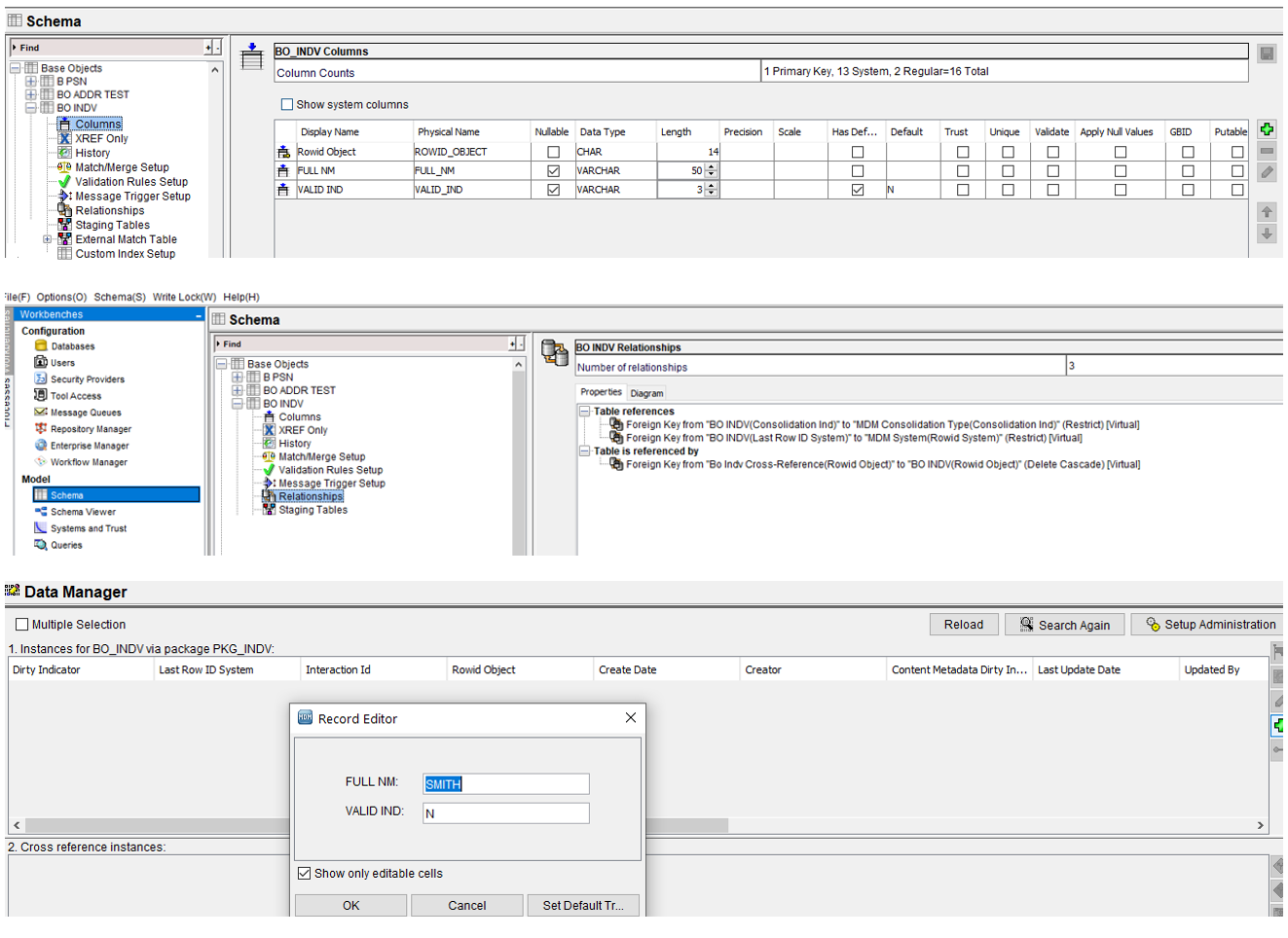 HOW TO: Configure a column as a Lookup field from MDM hub console