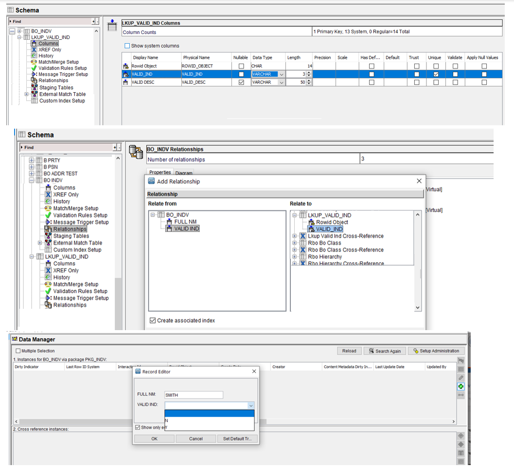 HOW TO: Configure a column as a Lookup field from MDM hub console