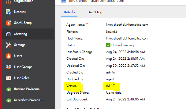 FAQ: How to know the version of IICS running in CDI?