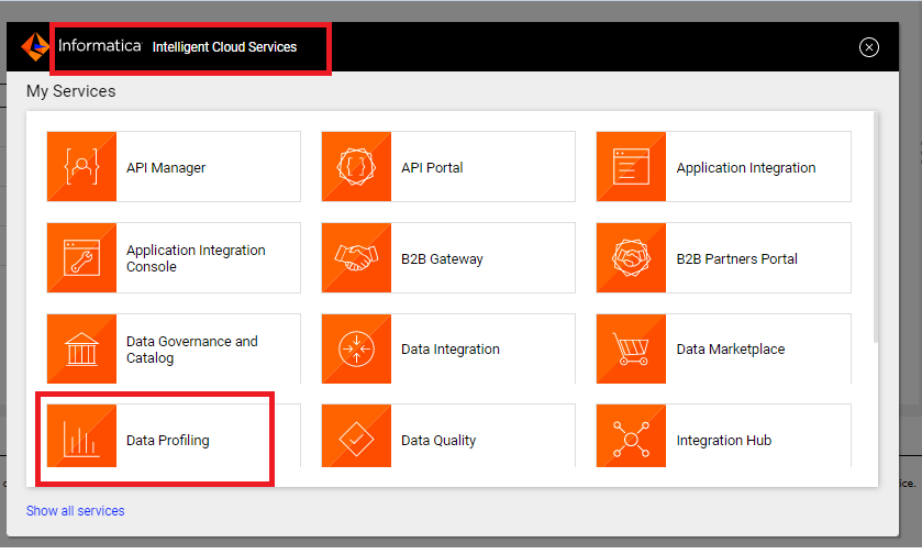 HOW TO: Export data profile results in Cloud Data Quality (CDQ)