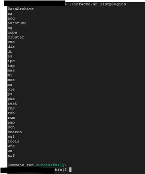 ERROR: "[ICMD_10003] Invalid syntax: Value found without option being specified" when the option ...