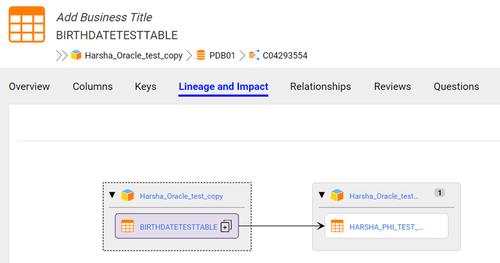 Steps to create custom lineage with examples