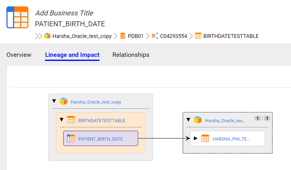 Steps to create custom lineage with examples