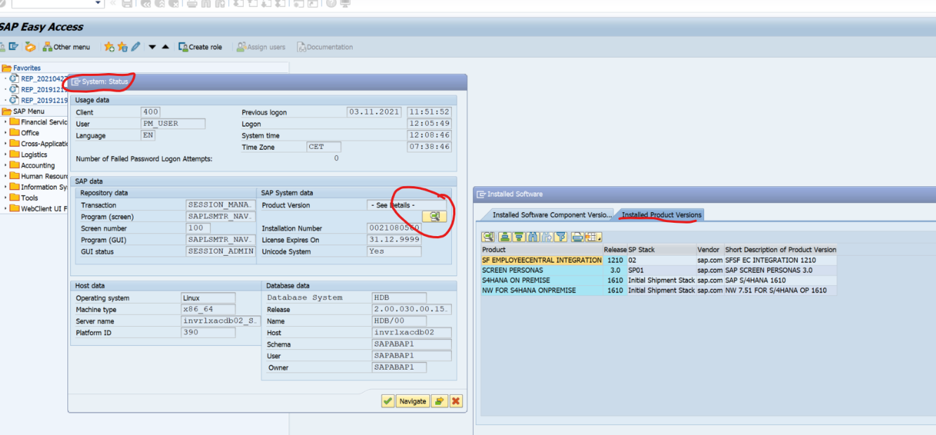 HOW TO: Find the S/4 HANA version from SAP in PowerExchange