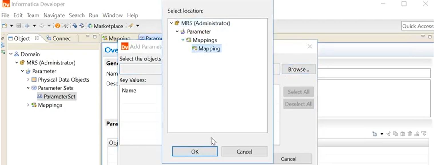 HOW TO: Create and Use Parameter Sets in IDQ