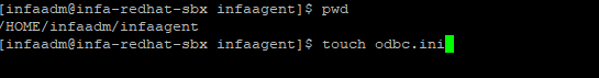 How to create an ODBC Connection with Linux Secure Agent in IICS