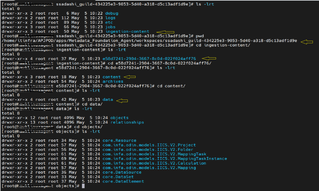 HOW TO: Save the Avro files to debug metadata related issue in CDGC
