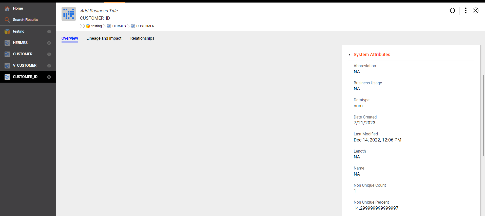 Custom Metadata Scan and Profiling