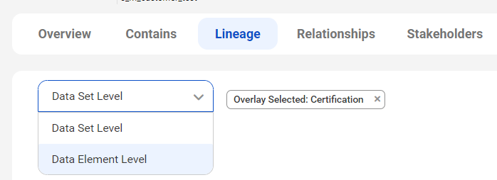 FAQ: Why are no Data Elements visible on selecting Data Element Level ...
